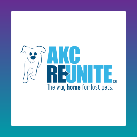 Pawlytics Partners - Pawlytics