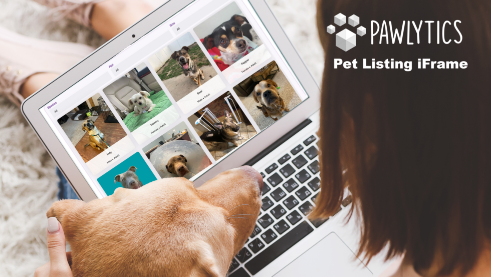 New: Automatically Display Adoptable Pets (and more) on Your Pawlytics ...